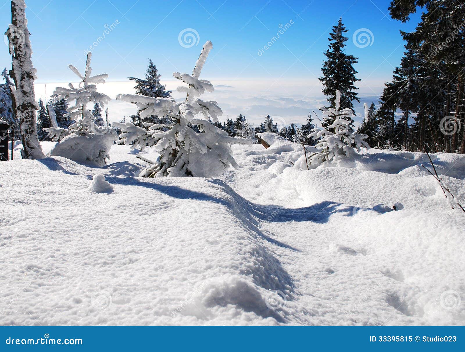 Trees coated with snow stock image. Image of scenery - 33395815