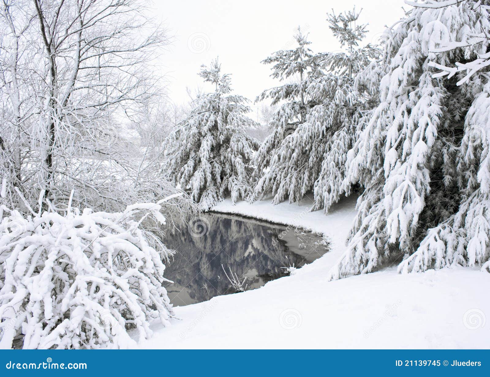 Trees Covered with Snow stock image. Image of nature - 21139745