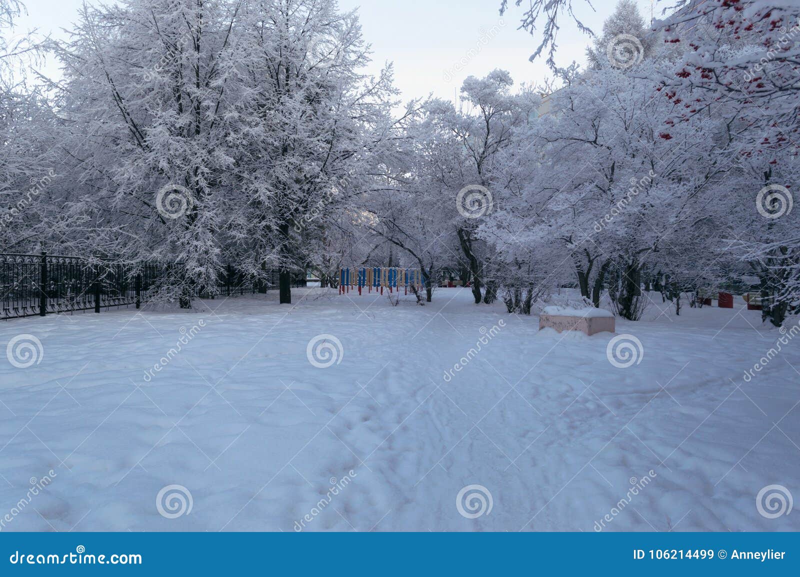 Trees Covered with Snow in Local Park Stock Image - Image of frozen ...
