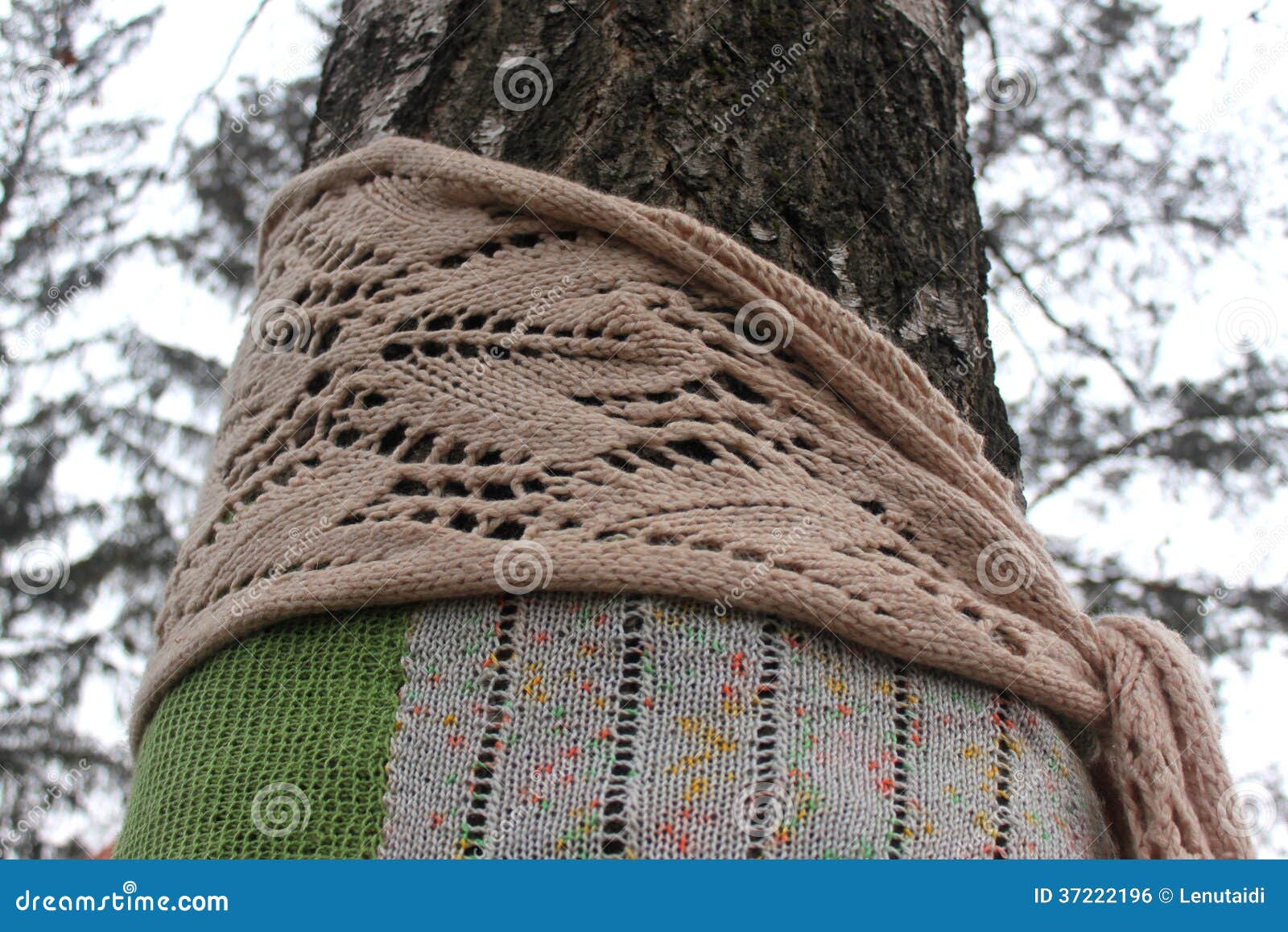 Trees Covered with Wool Scarf Stock Photo - Image of wool, textured ...