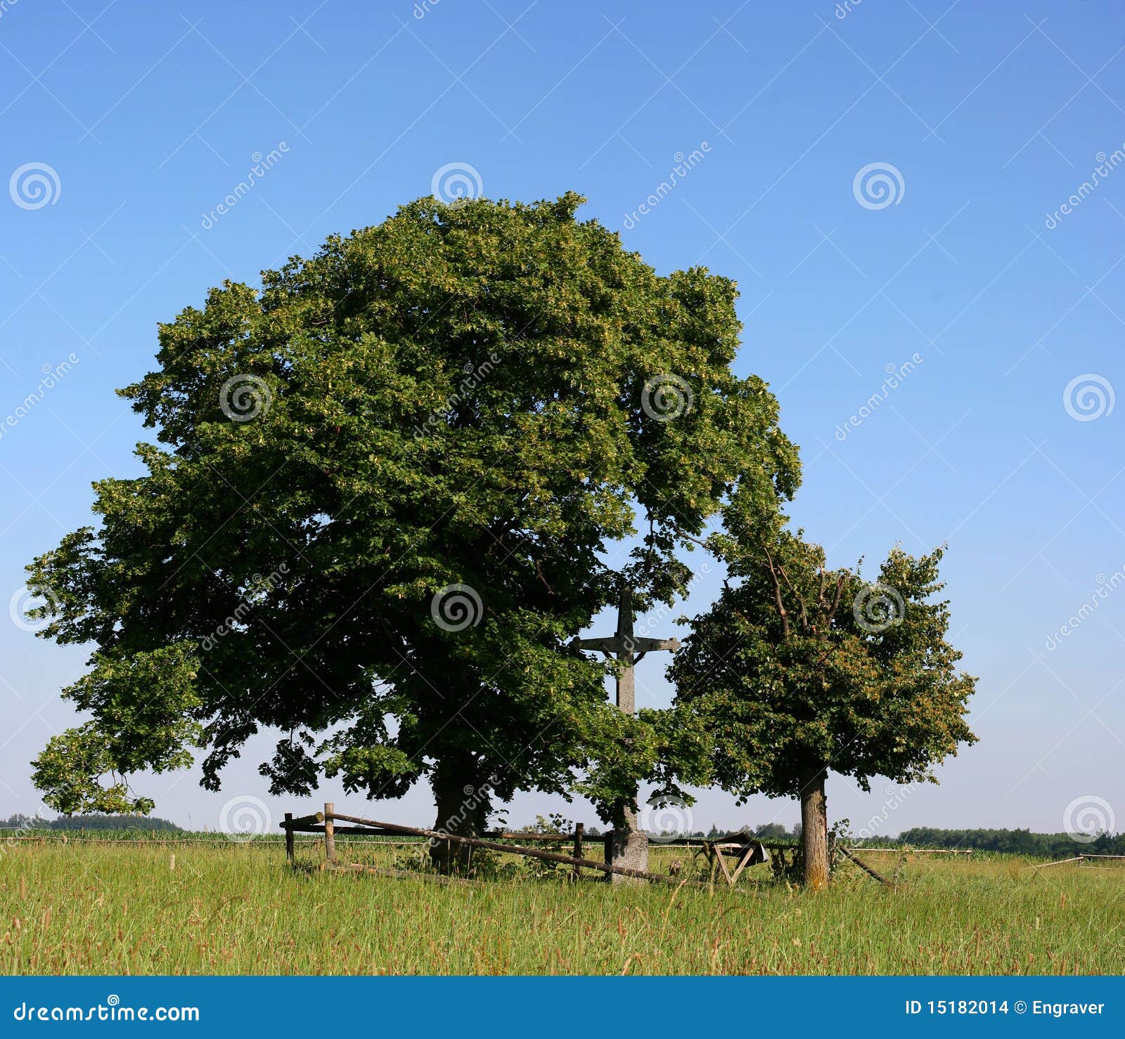 Trees and cross stock photo. Image of nature, cloudscape - 15182014