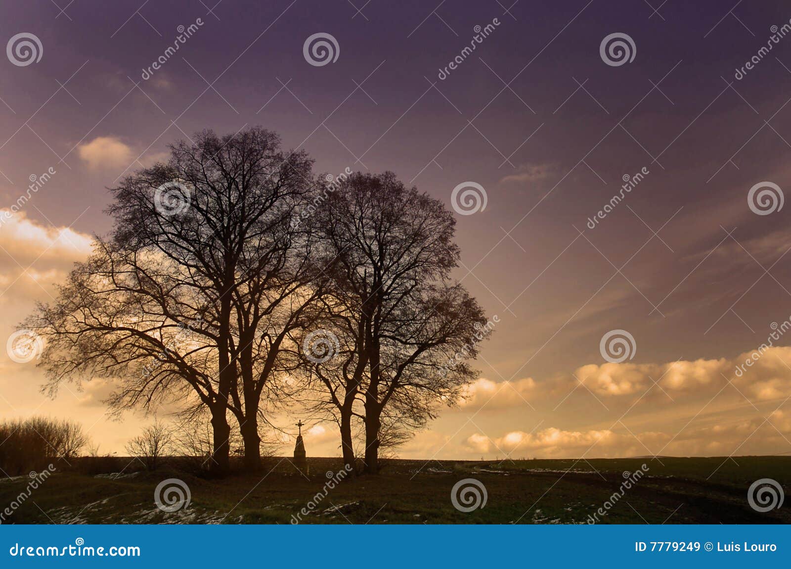 The trees and the cross stock image. Image of colors, autumn - 7779249