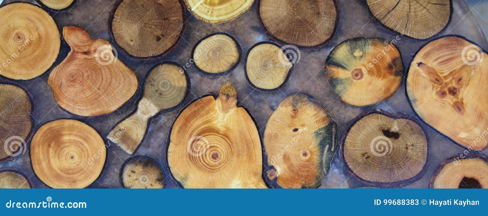 Trees Cross Sections Texture. Stock Image - Image of background ...