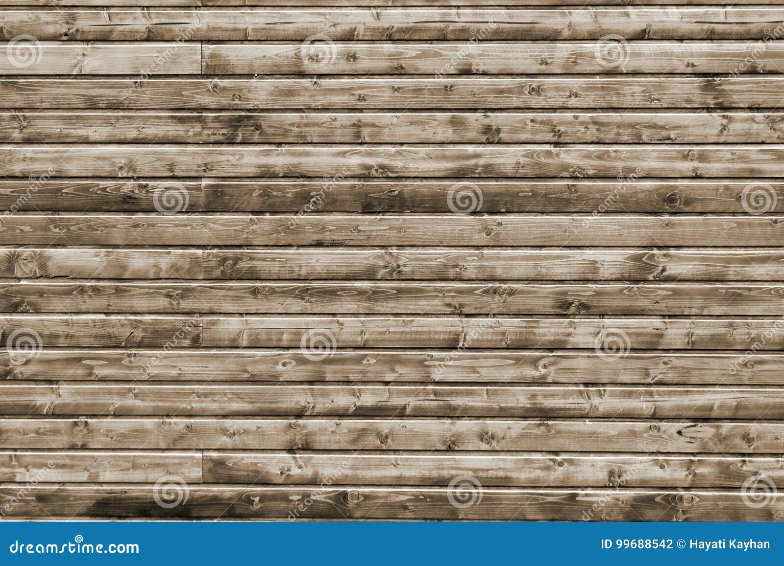 Trees Cross Sections Texture. Royalty-Free Stock Image | CartoonDealer ...