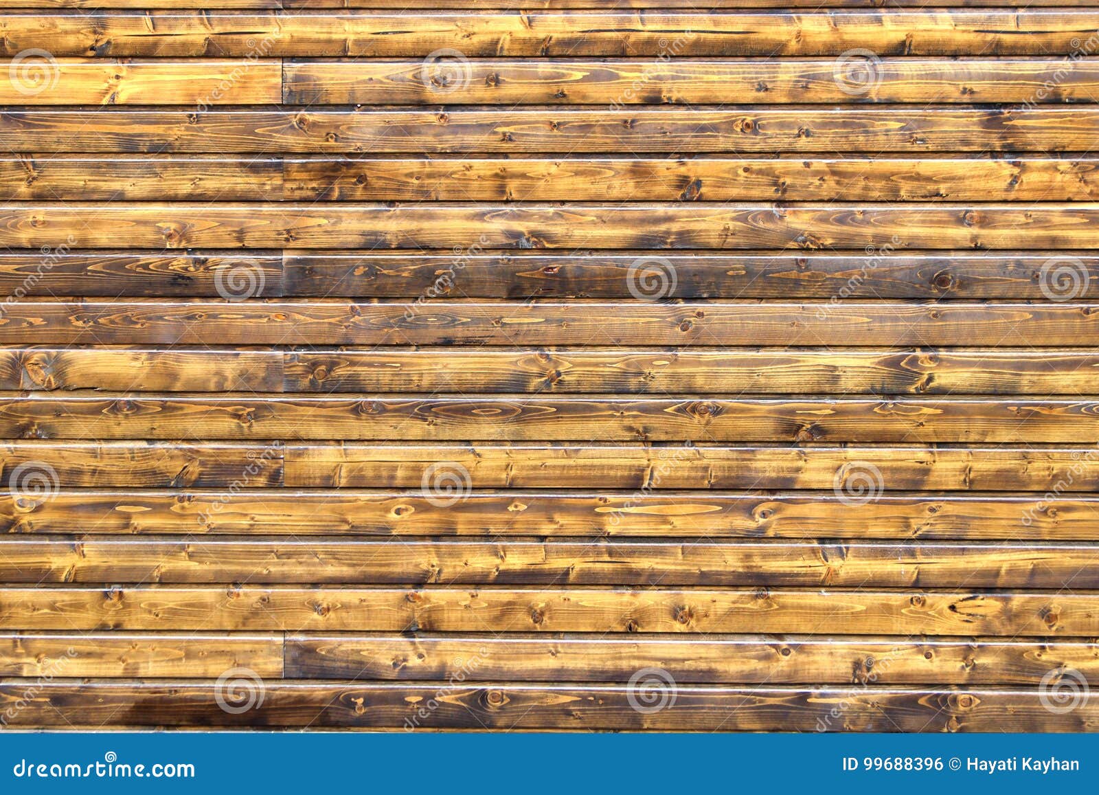 Trees Cross Sections Texture. Stock Photo - Image of decorative, detail ...