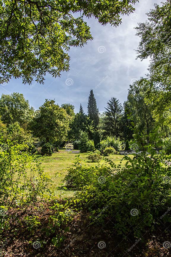 Trees and Cypress Trees in the Cemetery Under a Blue Sky Stock Photo ...