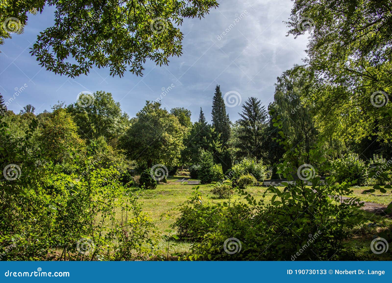 Cypress Cemetery Monument Stock Photography | CartoonDealer.com #70706774