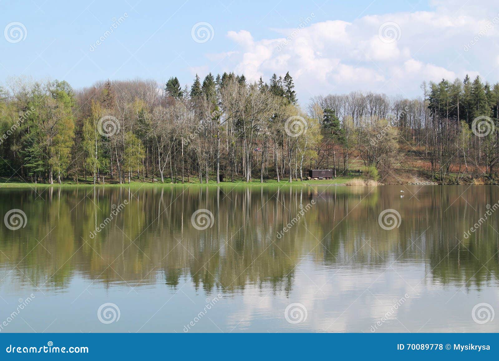 Trees at the dam stock photo. Image of level, calm, mirror - 70089778