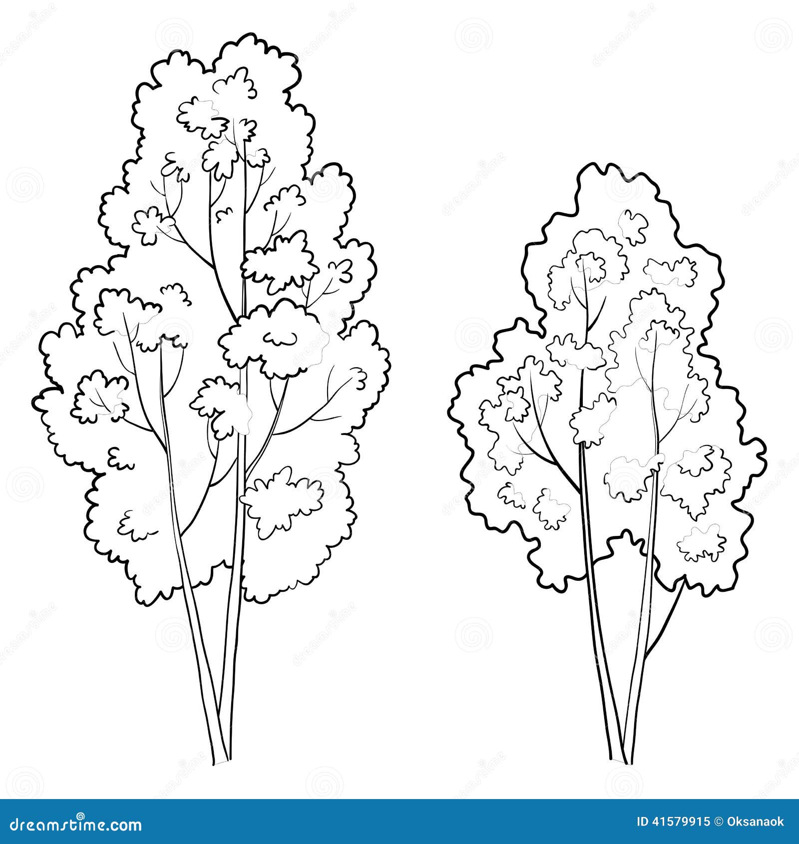 Trees deciduous, outline stock vector. Illustration of graphic - 41579915