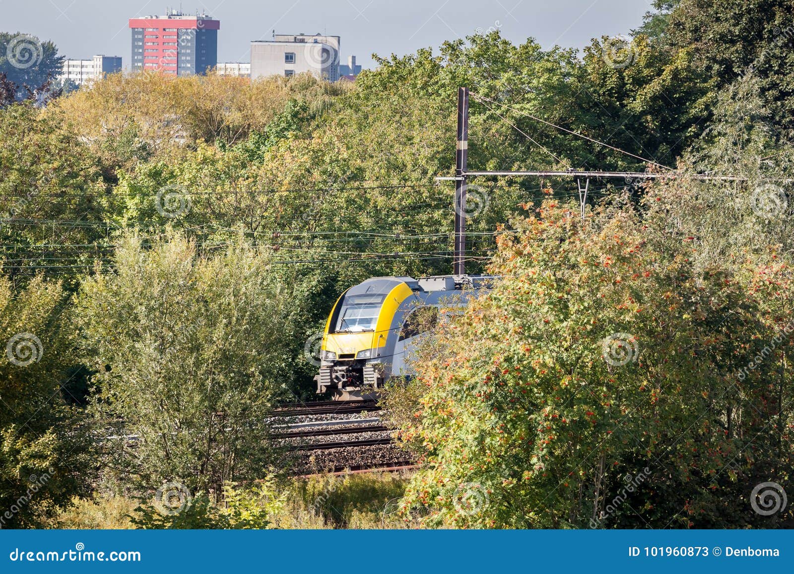 Train in nature stock image. Image of tourism, sunset - 101960873