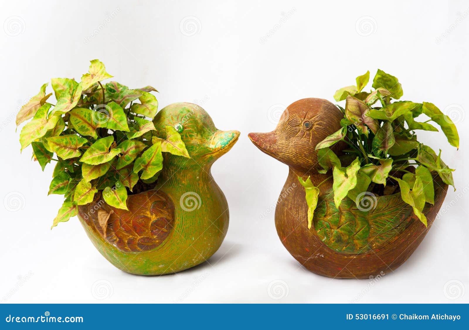 Decorative Duck Vase Photos - Free & Royalty-Free Stock Photos from ...