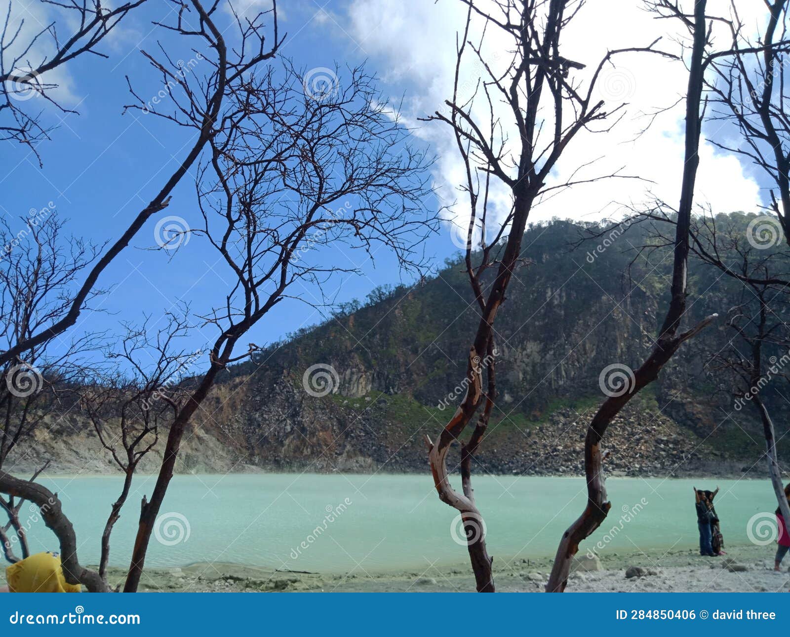 The Trees are Dying when the Lake Looks Beautiful Stock Photo - Image ...