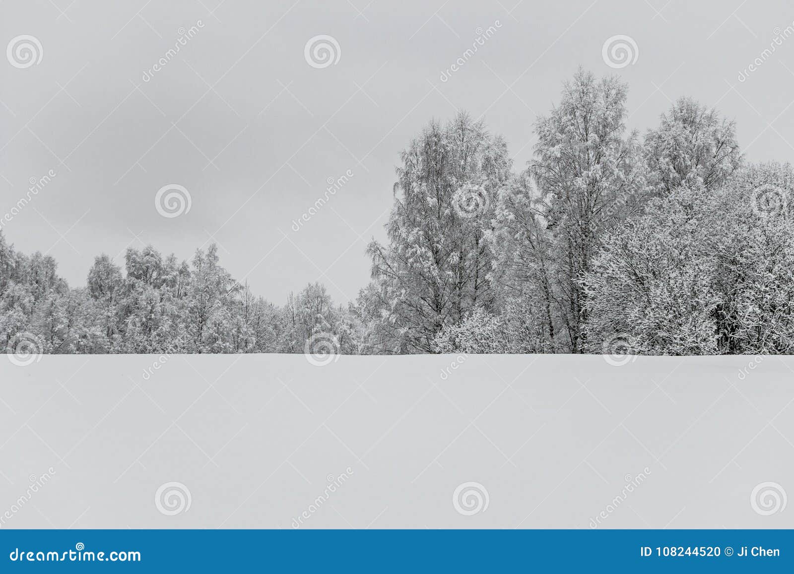 Trees in Empty Field with Snow at Winter Stock Photo - Image of empty ...