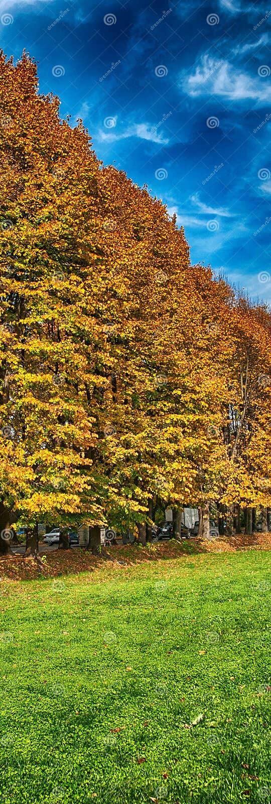Trees and Fall Colors of Lucca - Italy Stock Image - Image of italy ...