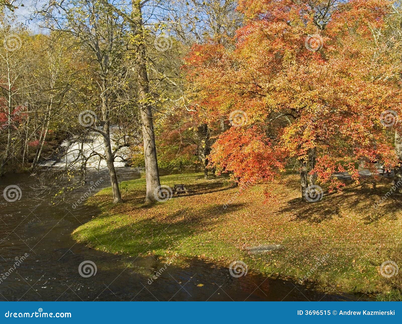 Trees and Falls stock image. Image of autumn, park, water - 3696515
