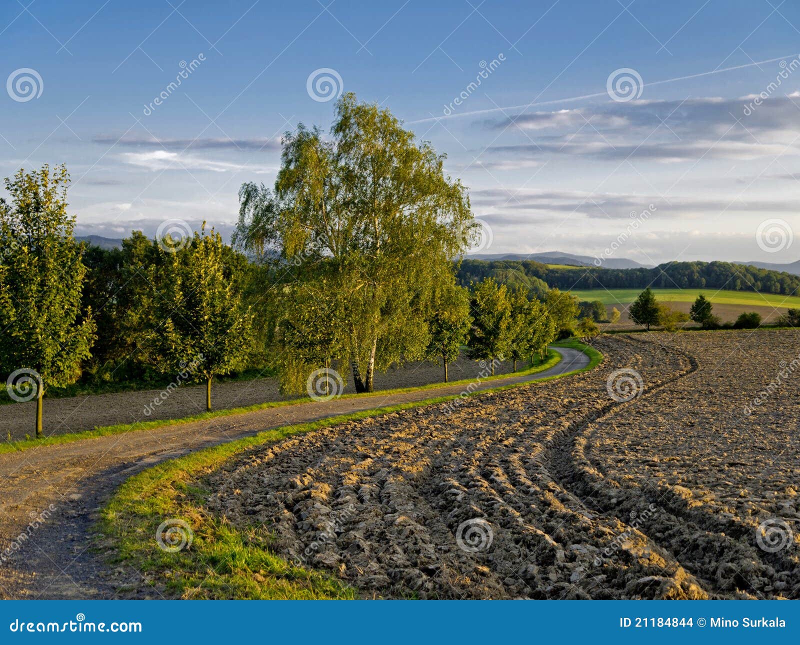 Trees and farmland stock photo. Image of soil, republic - 21184844