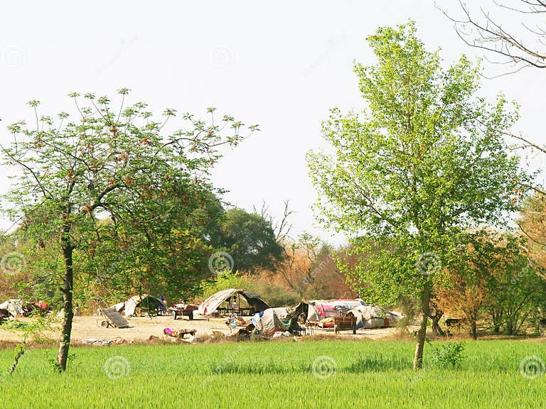 Trees, Field and Huts stock image. Image of country, grass - 5205873