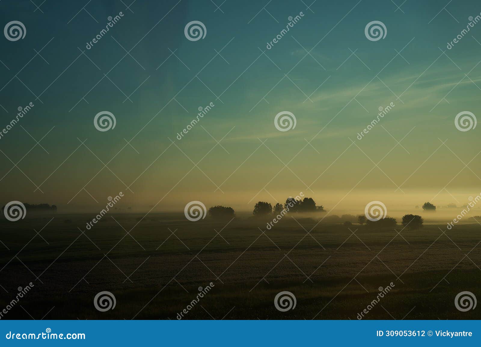 Trees in a Field Shrouded in Fog at Dawn from a Bus Window Stock Photo ...