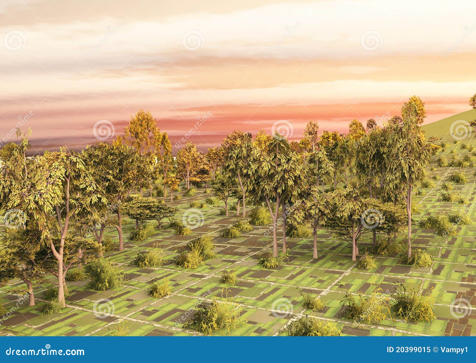 Trees and fields stock image. Image of plants, foliage - 20399015