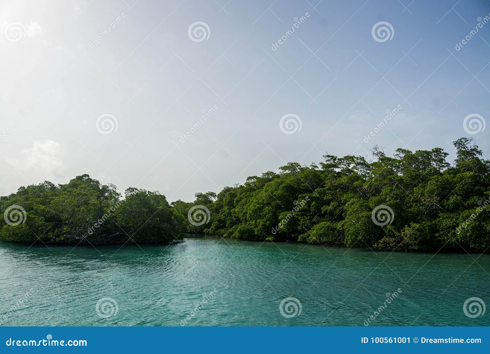 Trees Floating On The Ocean Royalty-Free Stock Photography ...