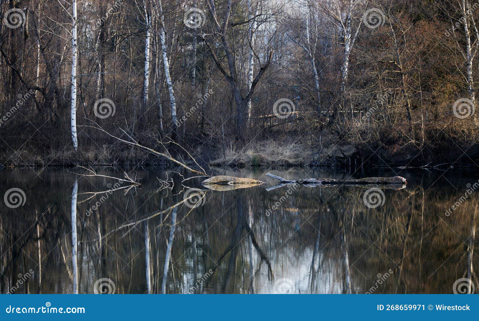 Trees Floating On The Ocean Royalty-Free Stock Photography ...