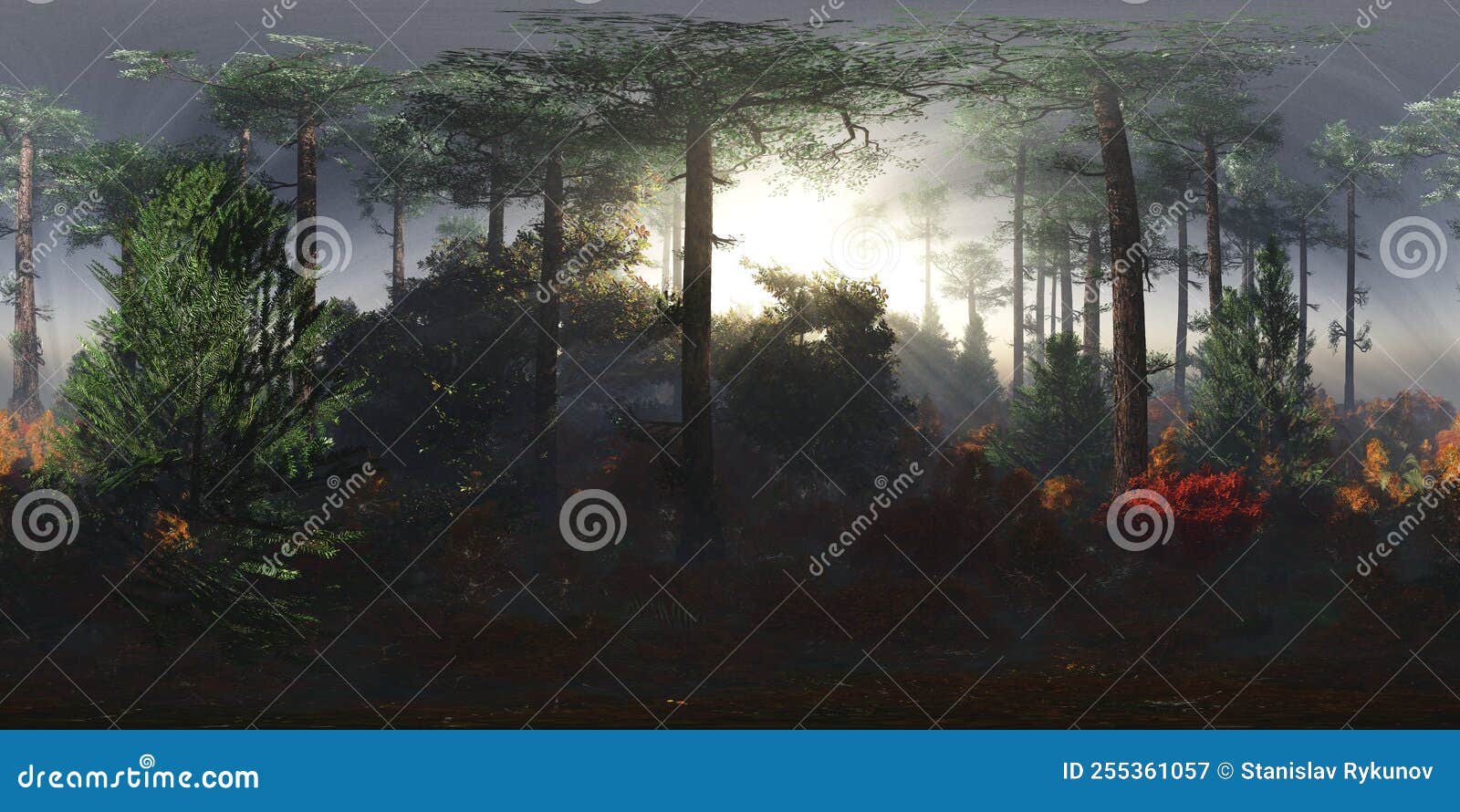 Forest in the Rays of the Setting Sun in the Fog Stock Illustration ...
