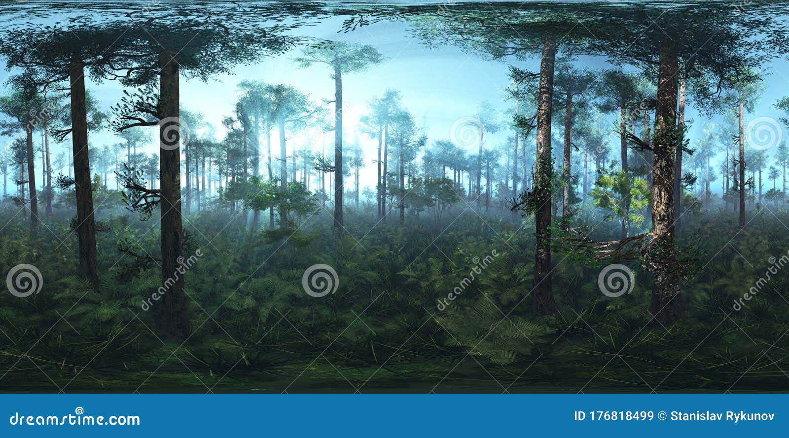 Trees in a Fog in the Morning, HDRI, Environment Map Stock Illustration ...