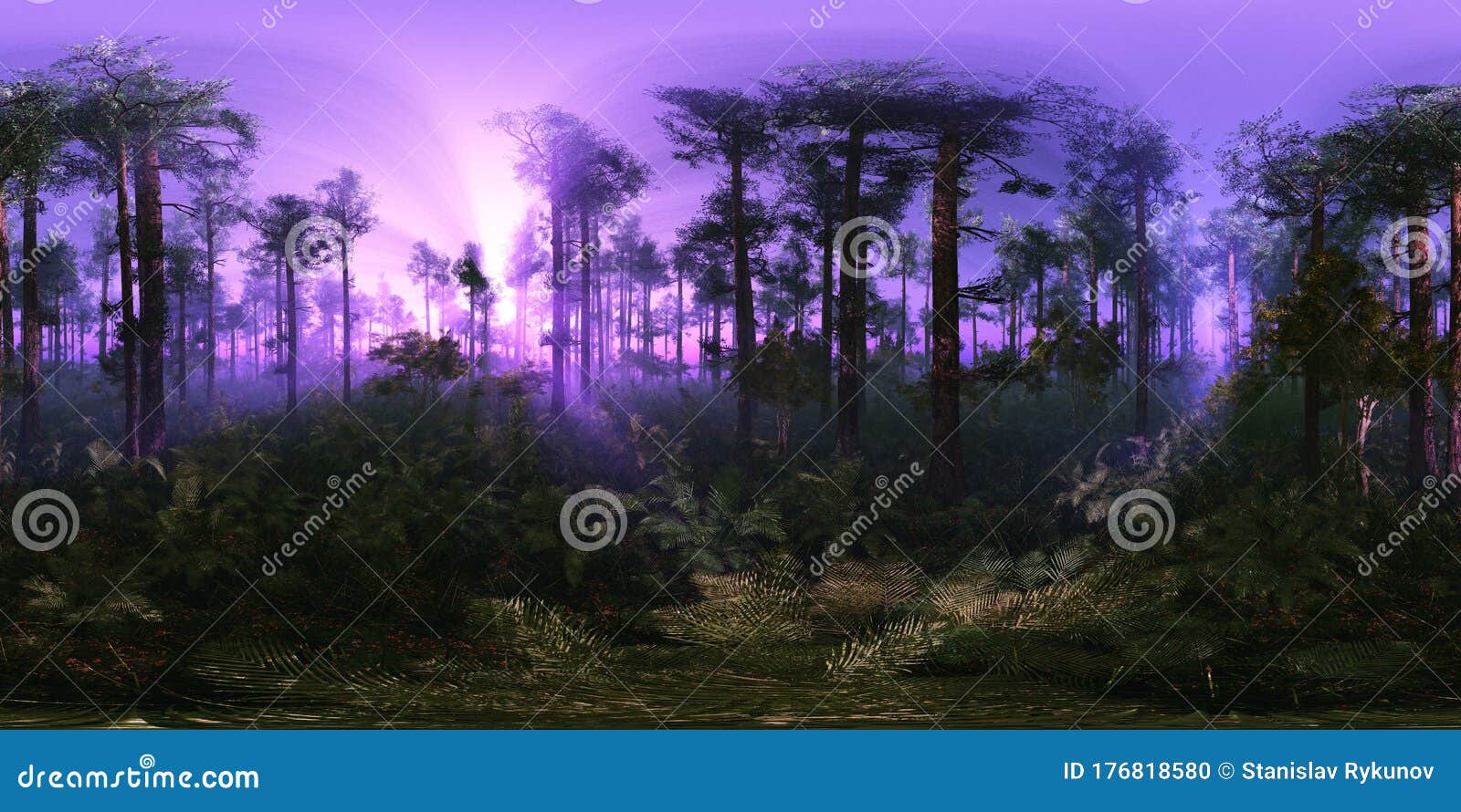 Trees In A Fog In The Morning, HDRI, Environment Map Stock Photography ...