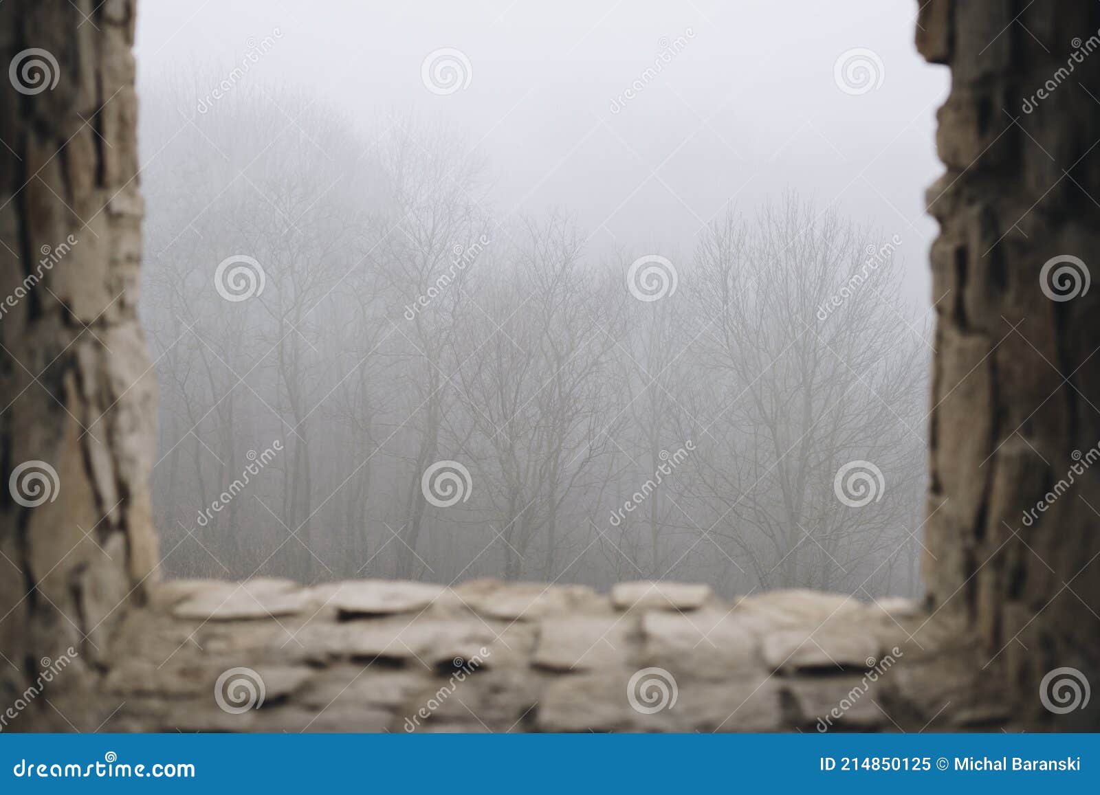 Trees in a fog stock image. Image of cover, forest, weather - 214850125