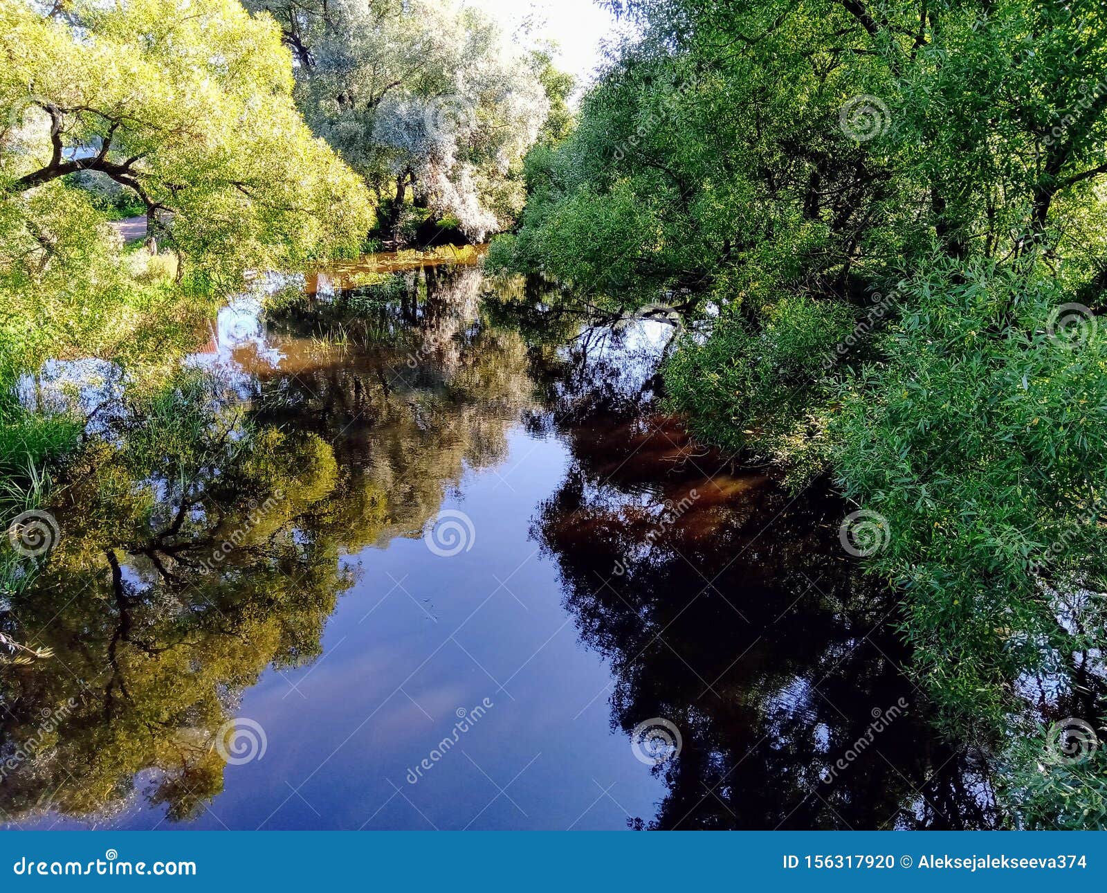 Trees and Foliage with Reflections in the Water of the River Stock ...