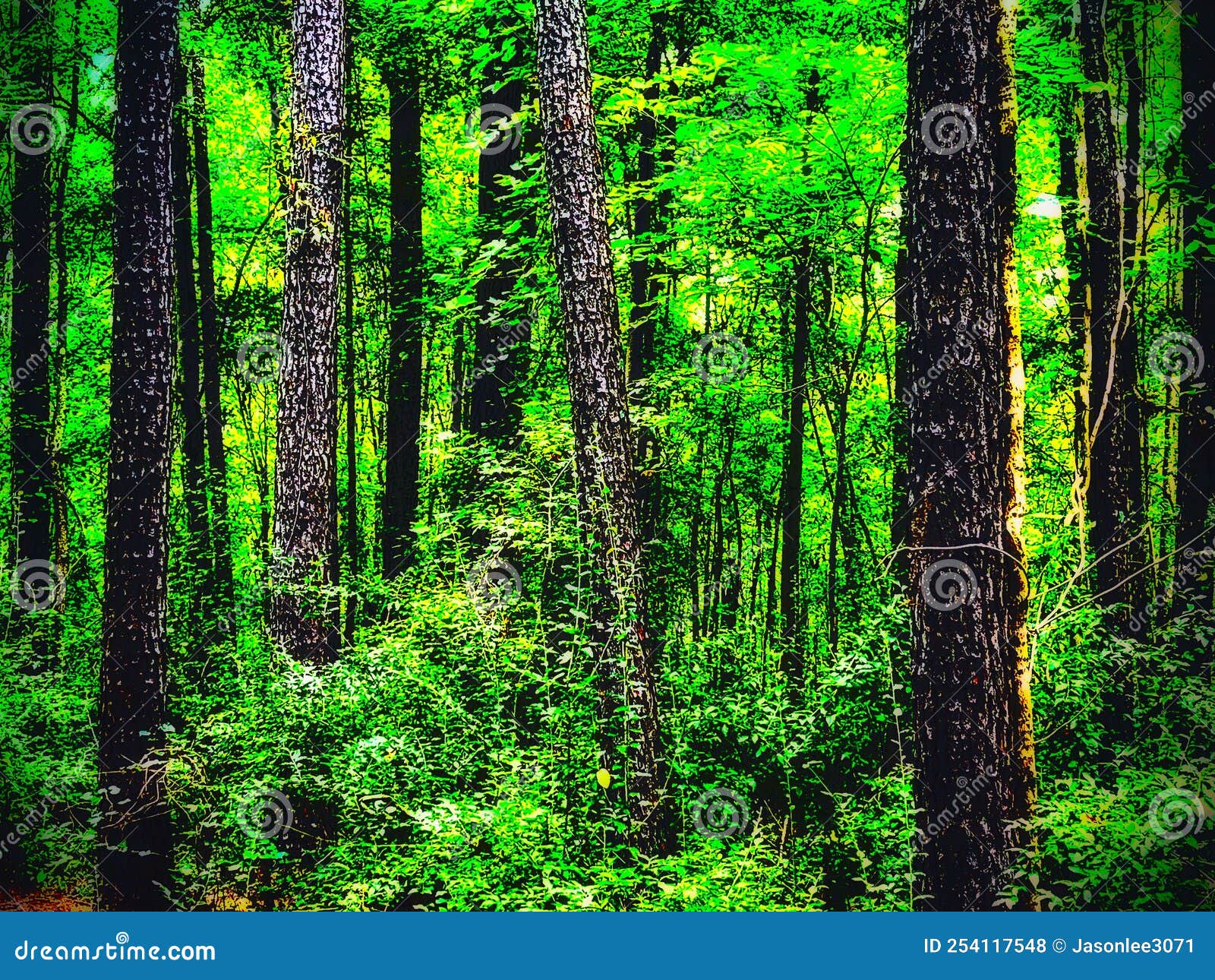 Trees and foliage stock photo. Image of dense, woods - 254117548
