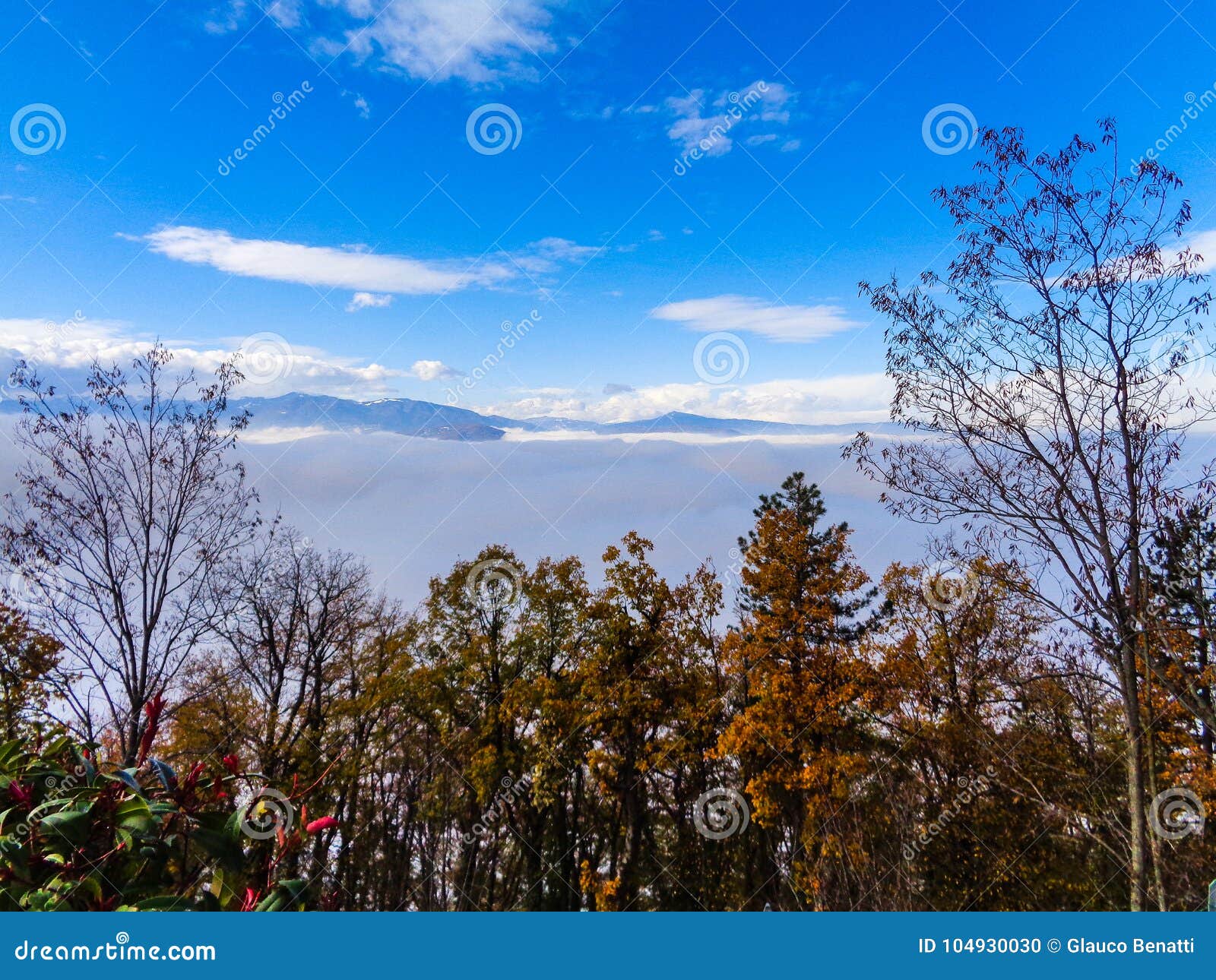 Trees in the Foreground with Fog Stock Photo - Image of right, flat ...