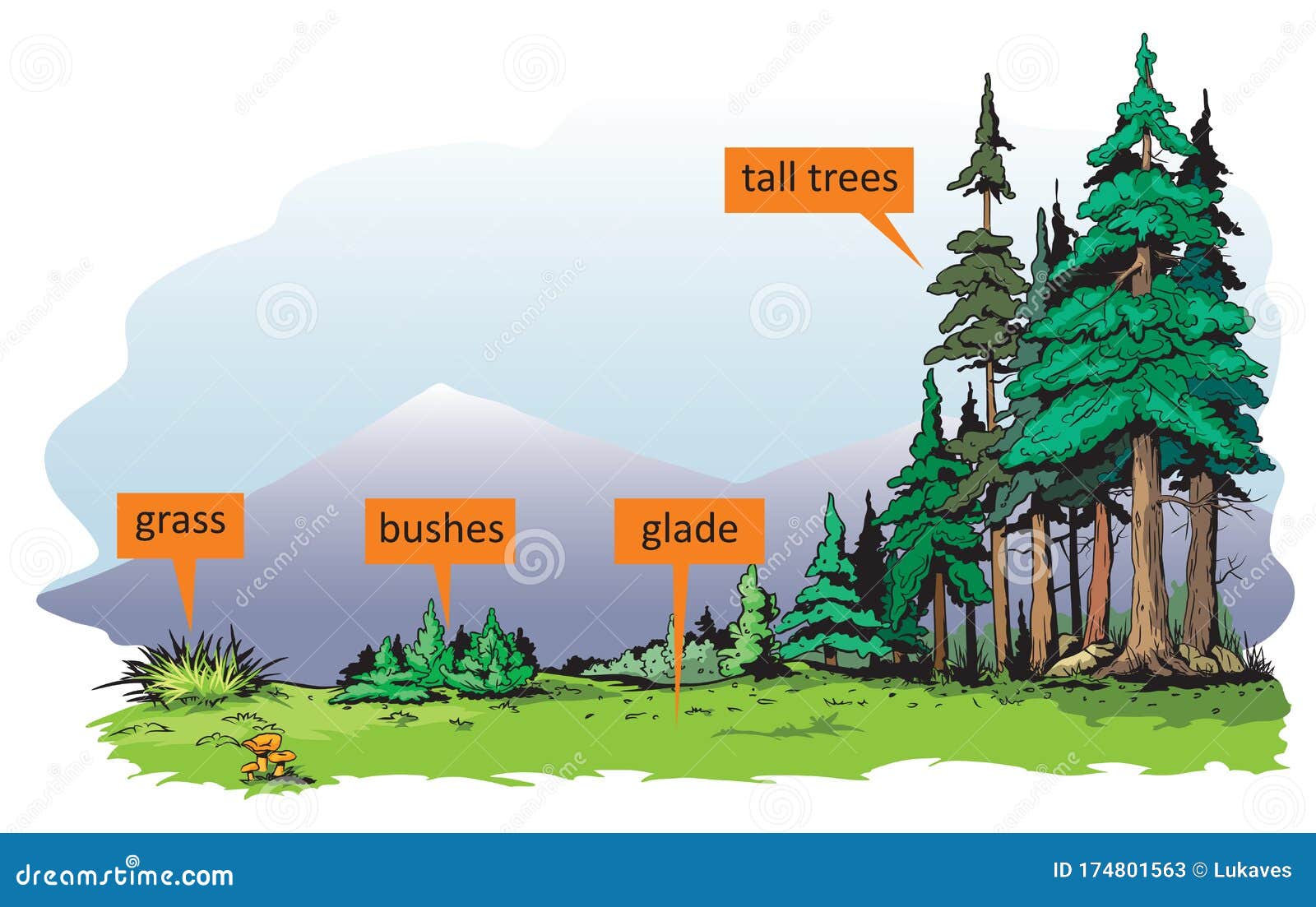 Trees - forest stock vector. Illustration of biosphere - 174801563