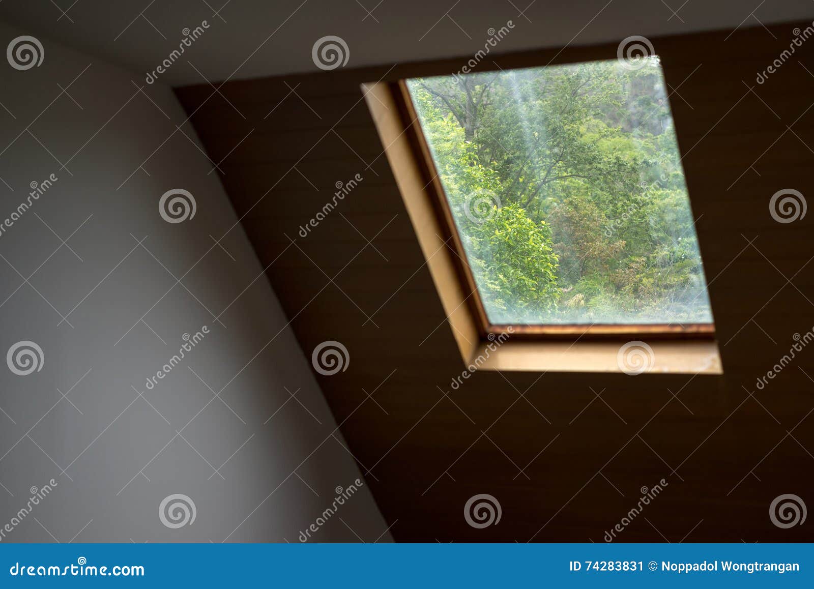 Trees and Forest View through the Window Stock Image - Image of room ...