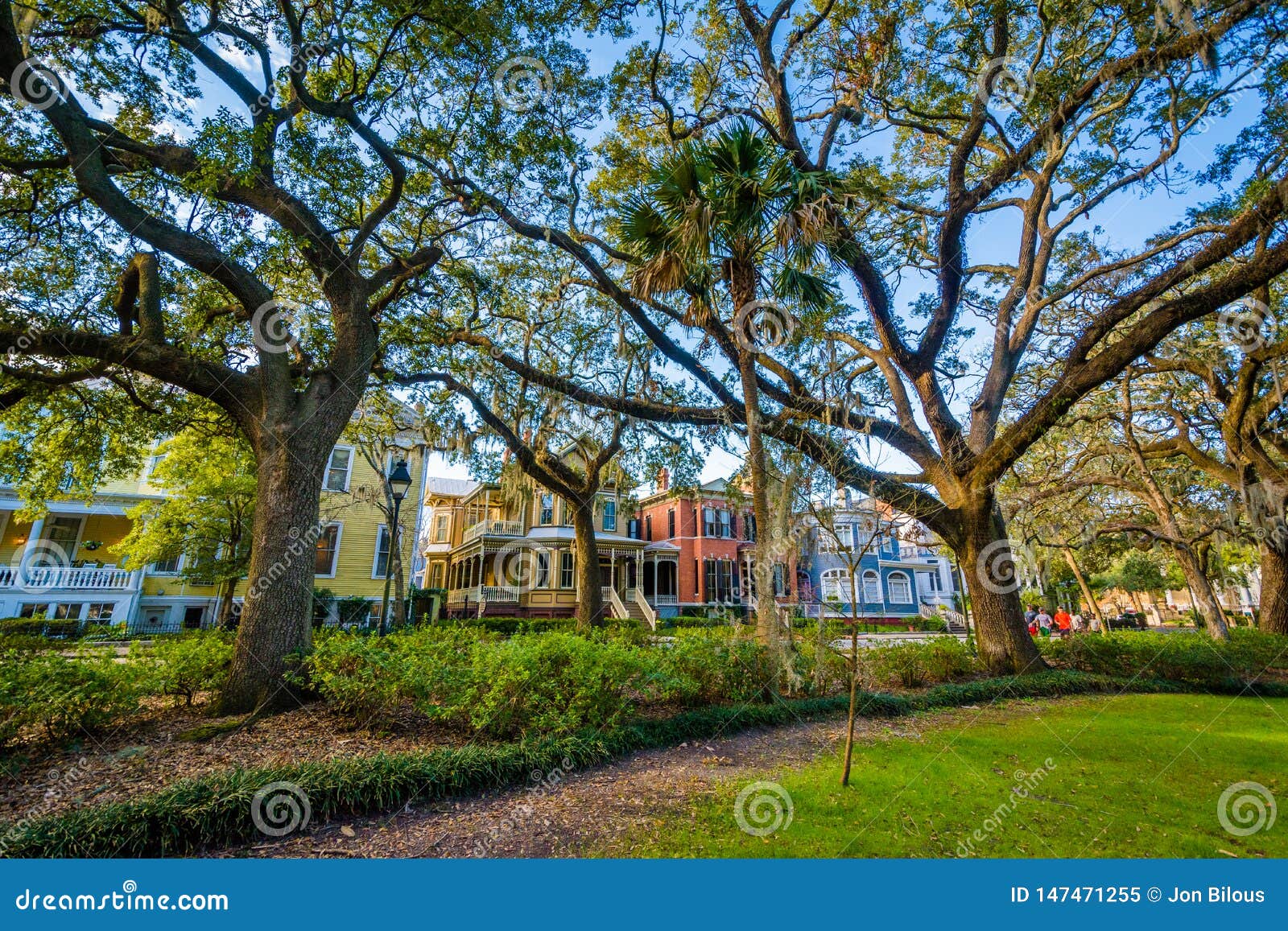 Trees at Forsyth Park, in Savannah, Georgia Editorial Image - Image of ...