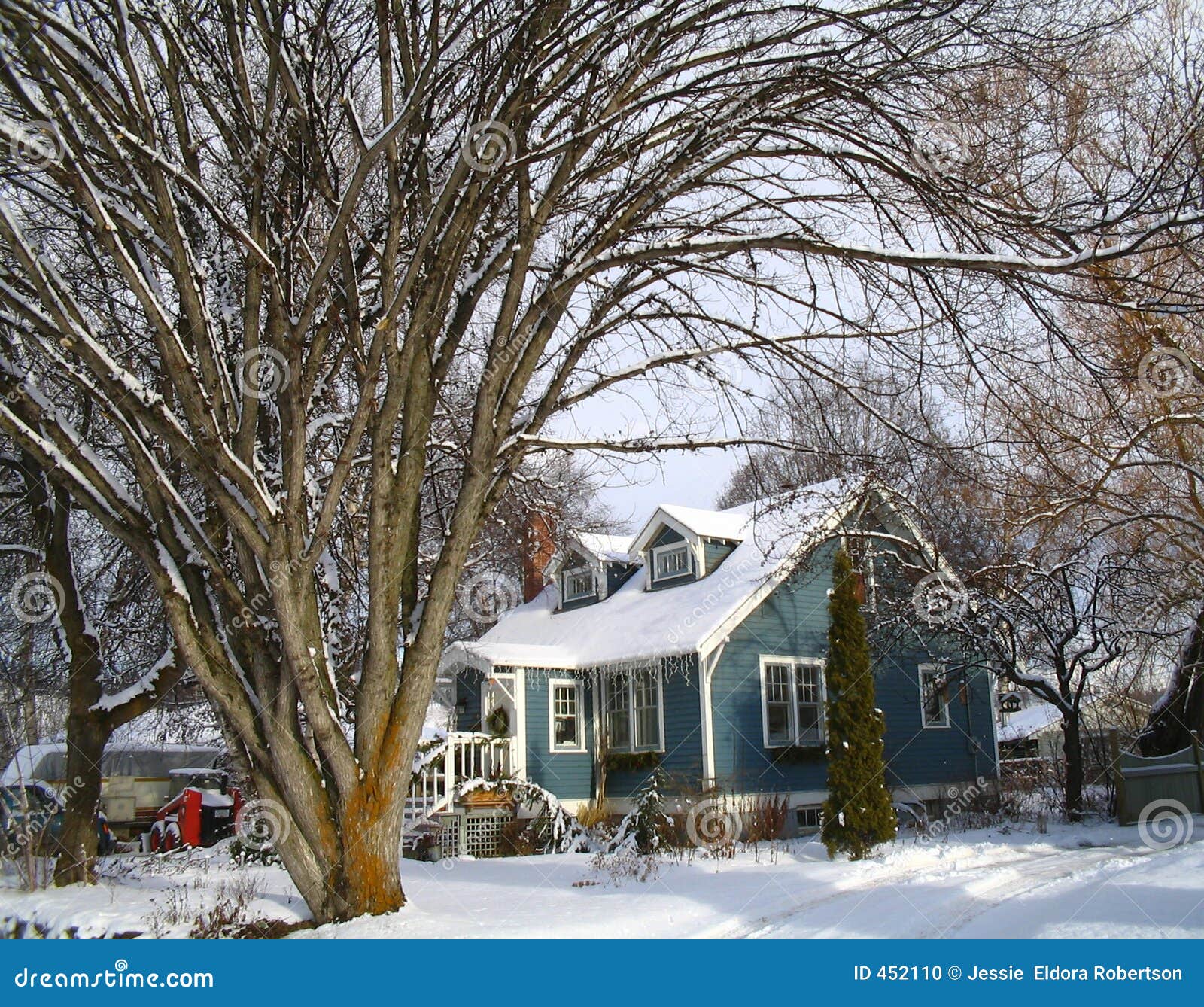 Trees framing house stock photo. Image of large, realestate - 452110