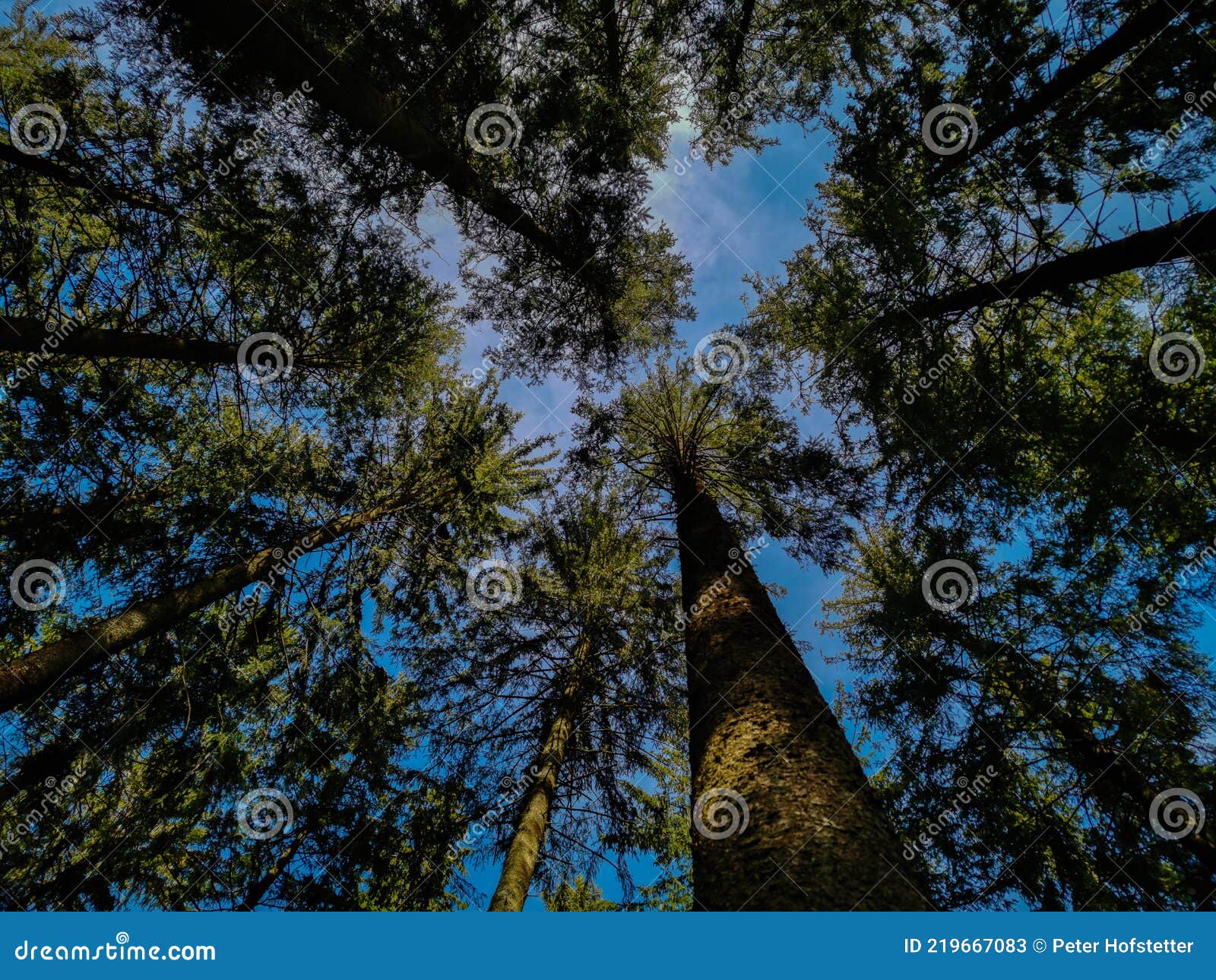 Frog View Of Tar Channel In Croatia, Place Where Mirna River Flows Into ...