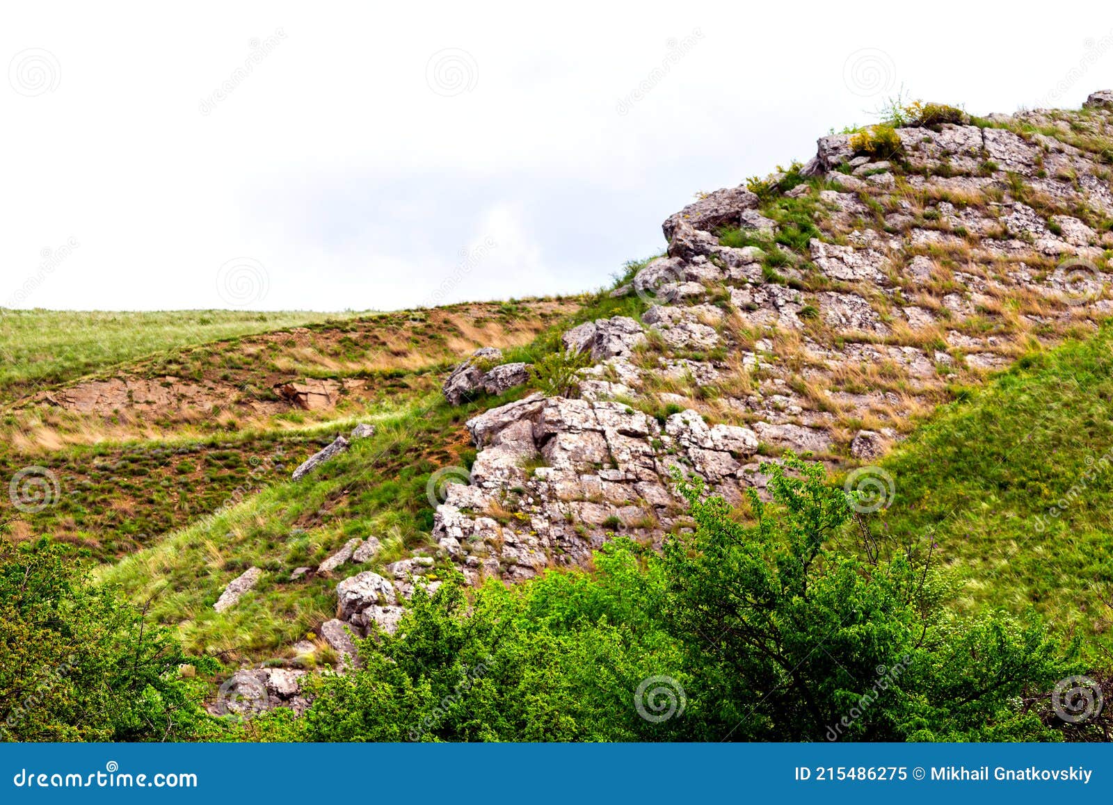 Trees in Front of the Edge of Steep Slope on Rocky Hillside Stock Image ...