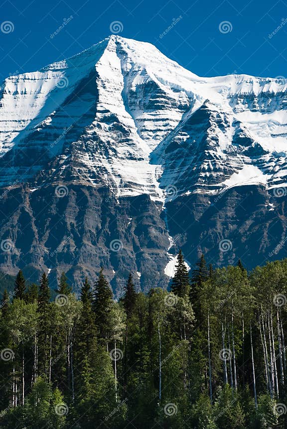 Trees in Front of Mt. Robson in BC, Canada Stock Photo - Image of range ...