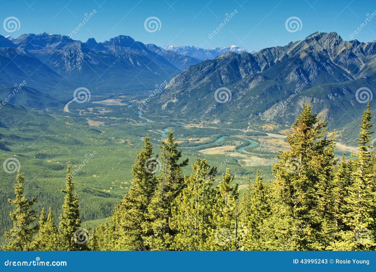 Trees in front of valley stock image. Image of snow, canada - 43995243