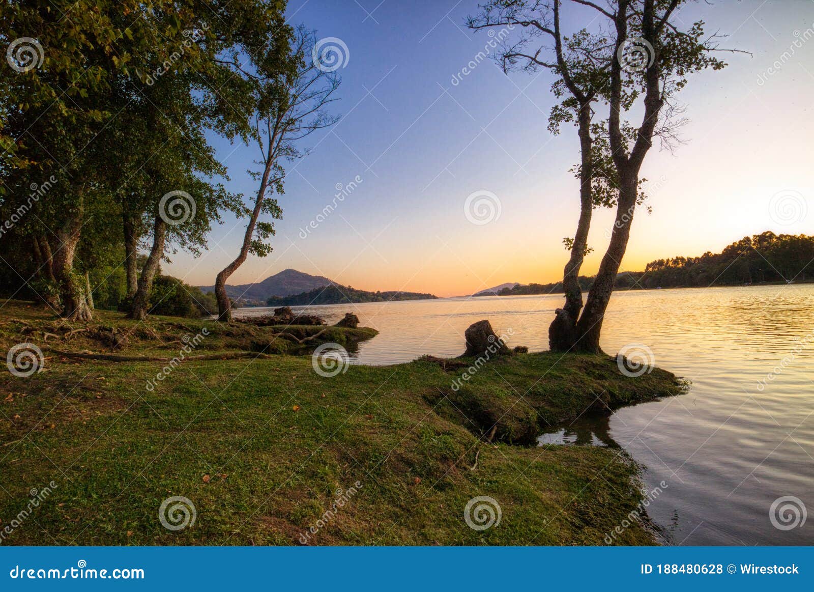 Trees in Front of the Water during Sunset Stock Photo - Image of blue ...