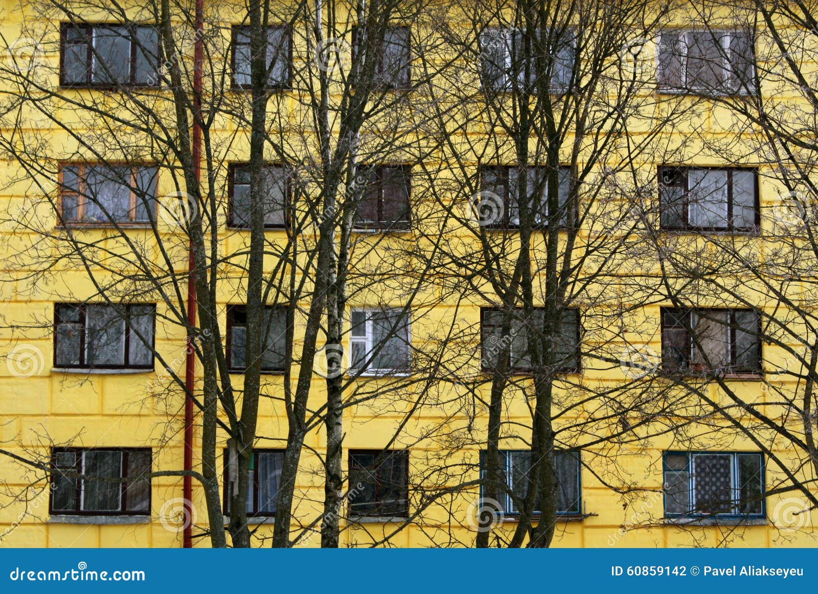 Trees in Front of Yellow House. Stock Photo - Image of rough, cement ...