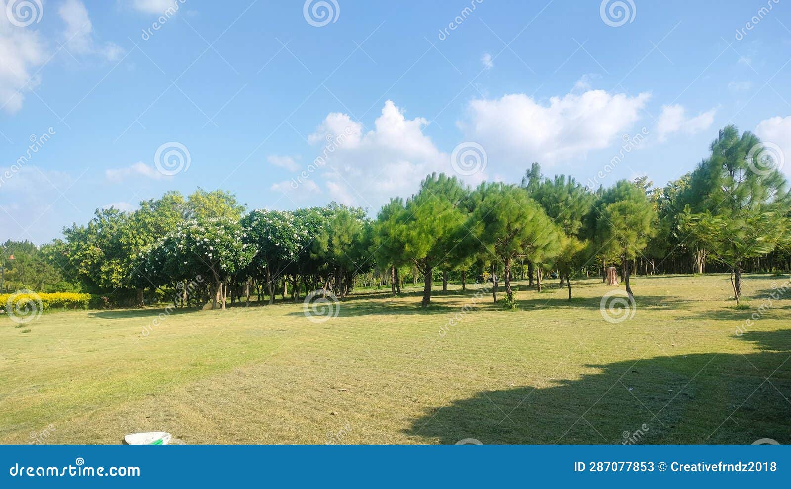 Trees in the Garden in Daylight Stock Image - Image of grass, nature ...