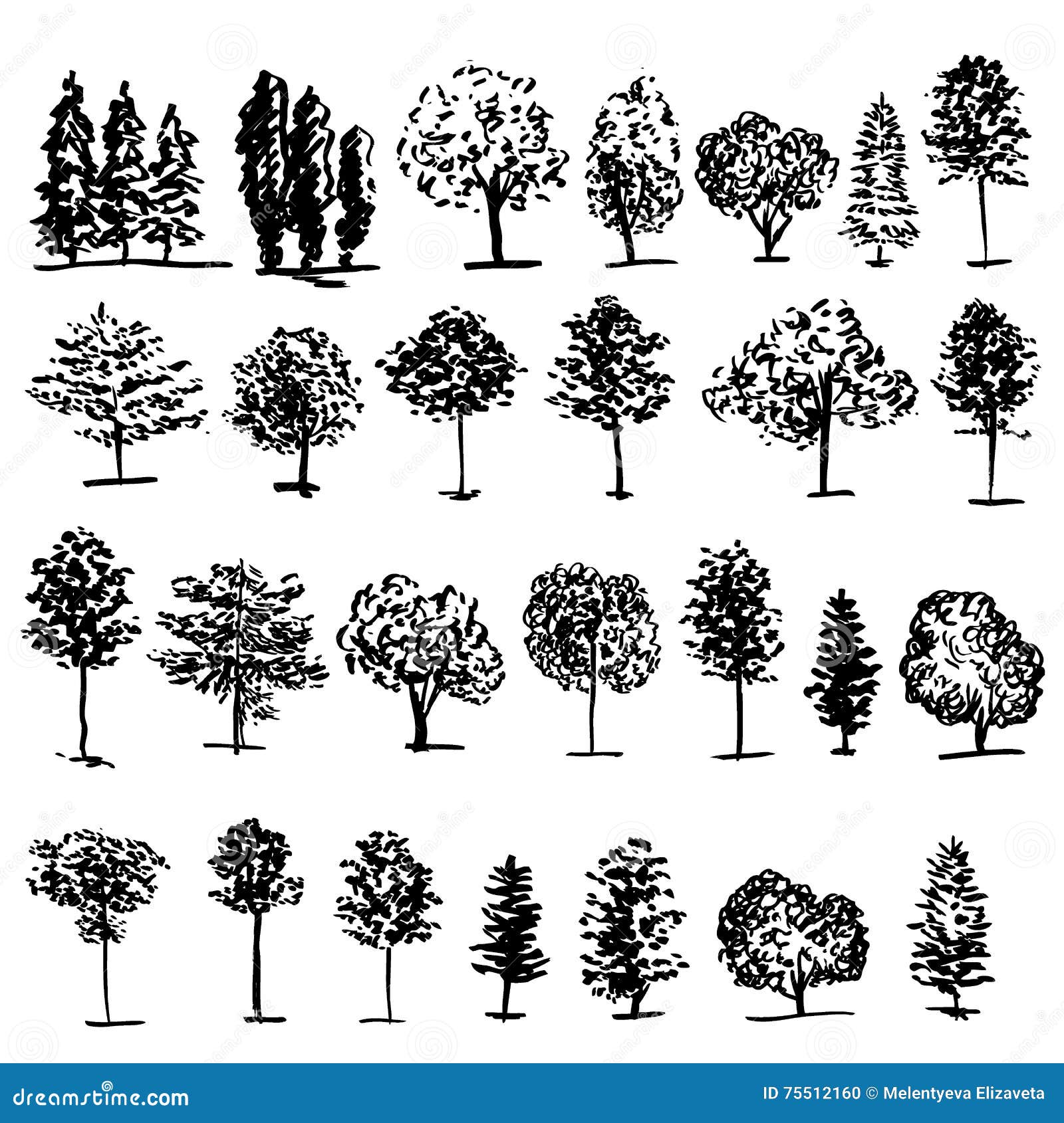 Trees Graphic Hand Drawn Vector Engraving Doodle Sketch Stock Vector ...