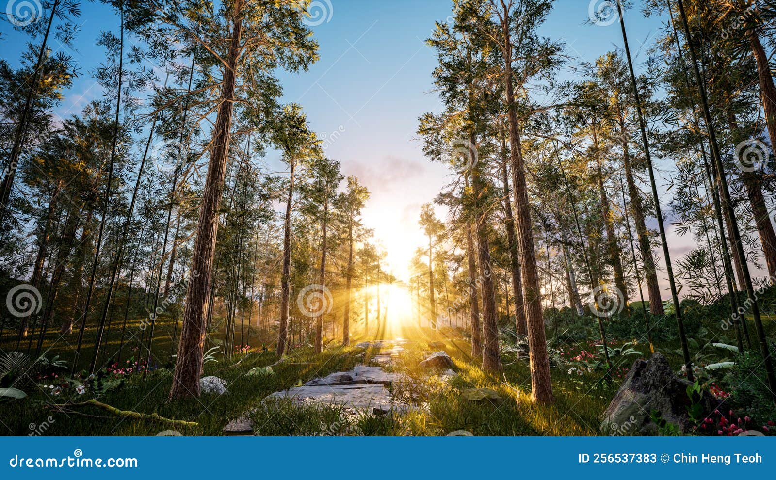 With Trees the Grass and Along Paths, Sunrise Morning Stock Image ...