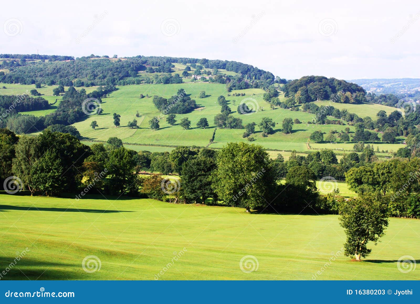 Trees and grass field stock image. Image of field, season - 16380203