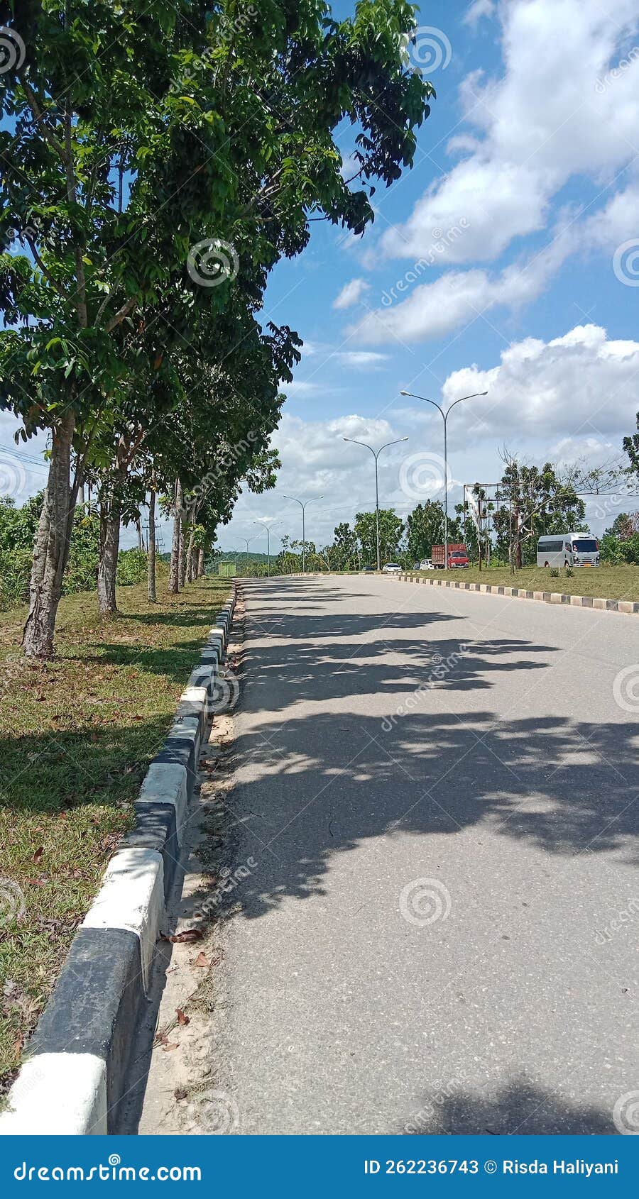 Trees and Grass on the Side of the Road Stock Image - Image of leaf ...
