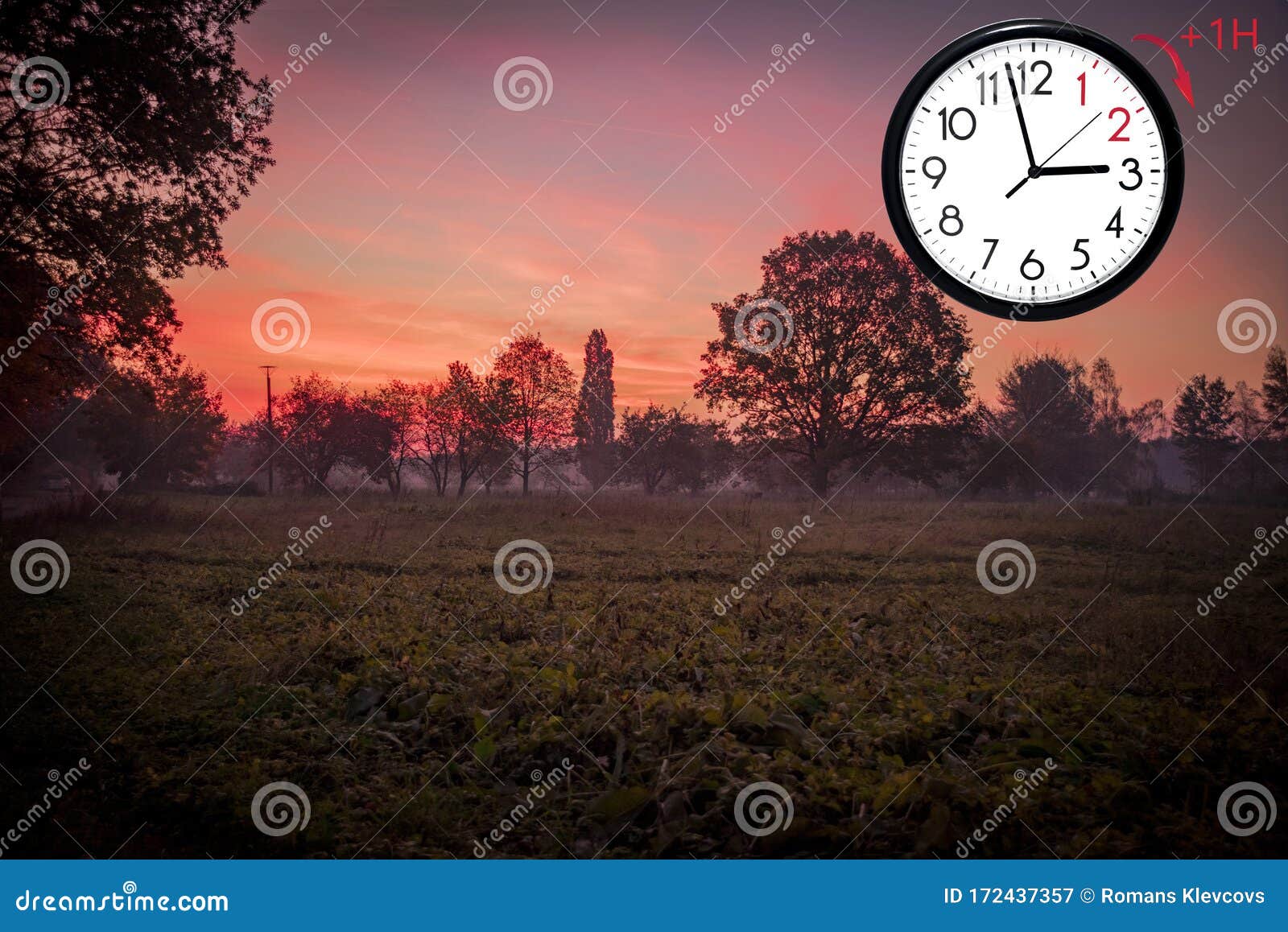 Trees on Green Field. Late Evening Autumn Sunset Stock Image - Image of ...