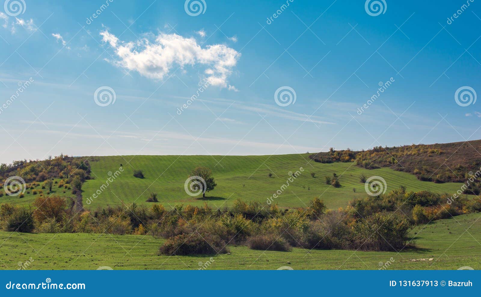 Trees on a green hillside stock image. Image of agriculture - 131637913