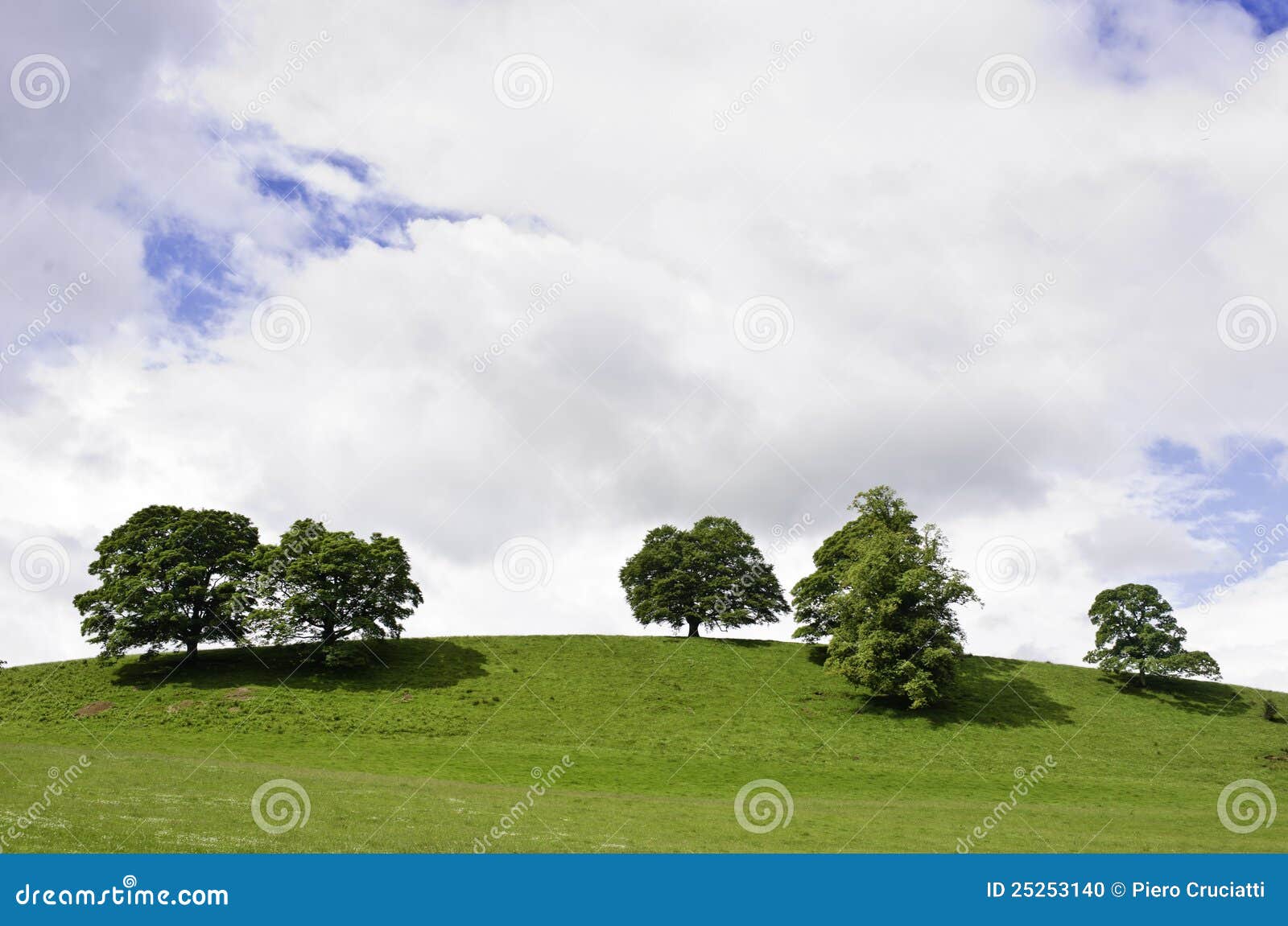 Trees on a green hilltop stock photo. Image of season - 25253140
